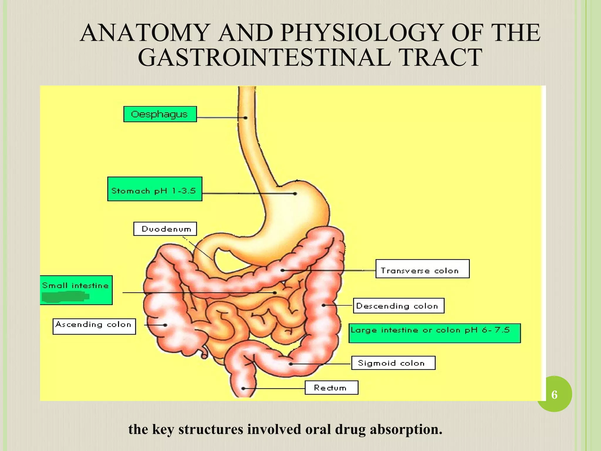 Anatomy and Physiology of GI Tract | PPT