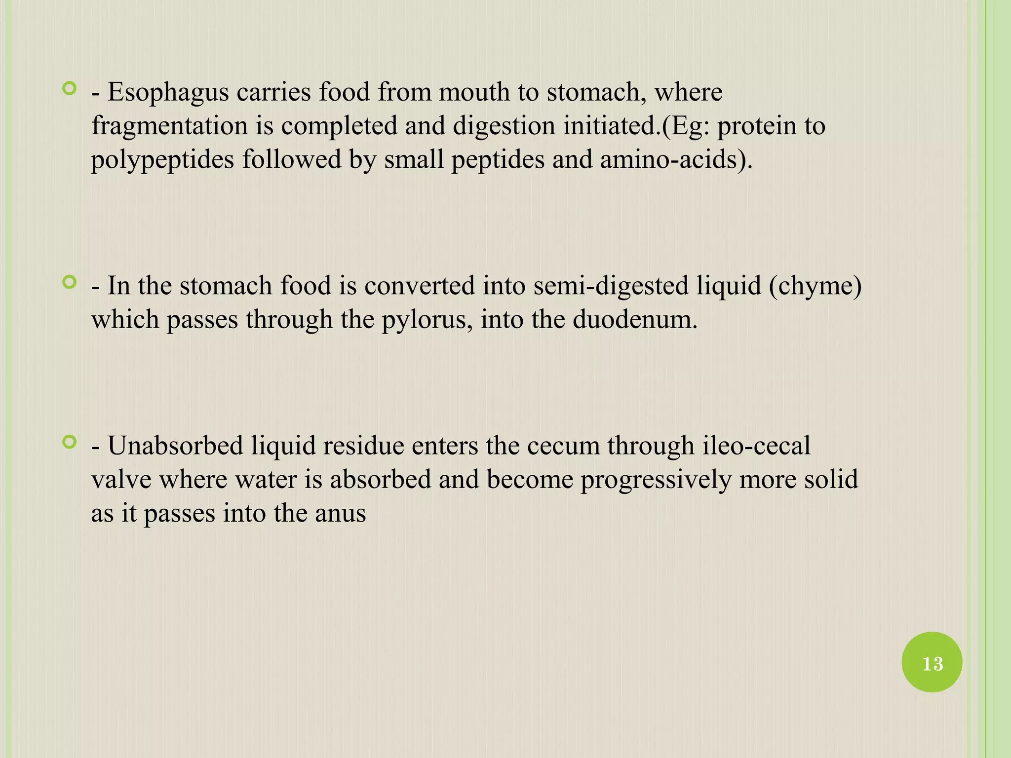 anatomyandphysiologyofgi.pdf