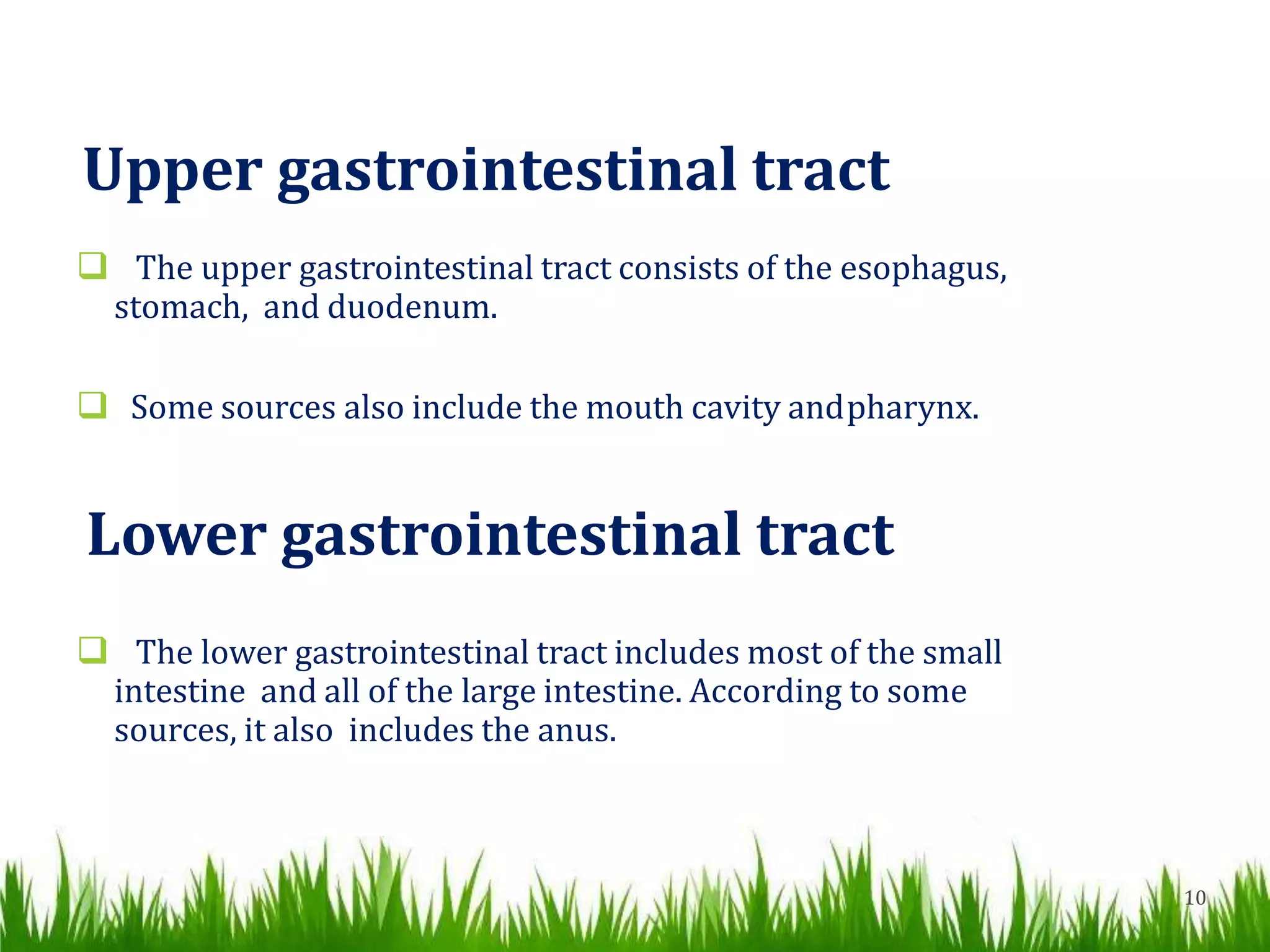 Anatomy and physiology of git | PPTX
