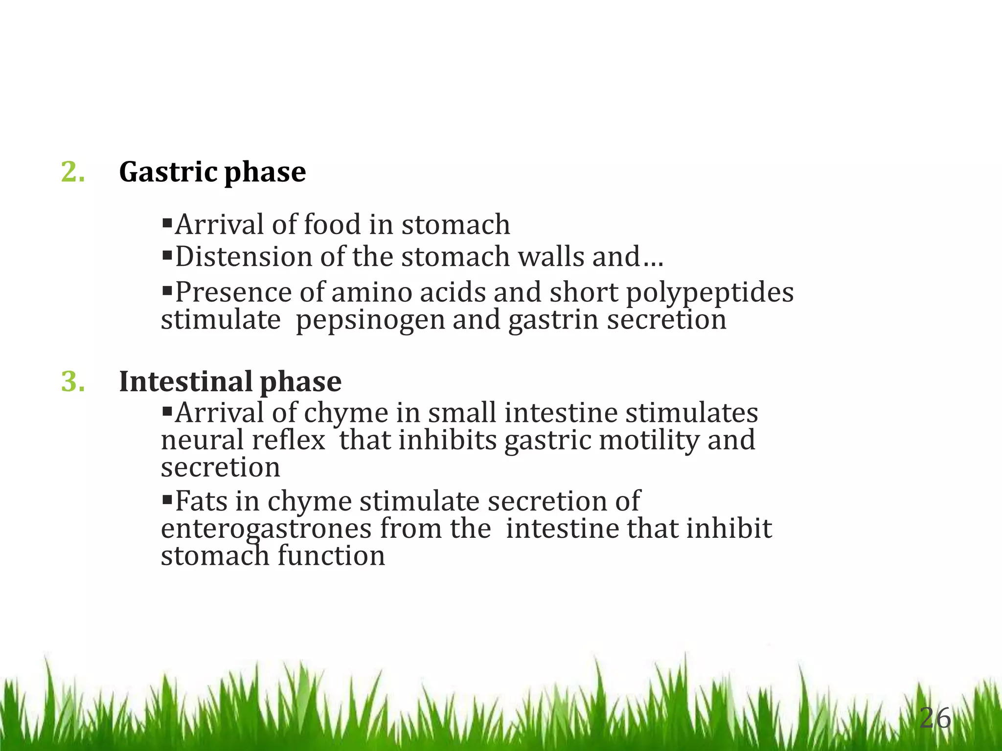 Anatomy and physiology of git | PPTX