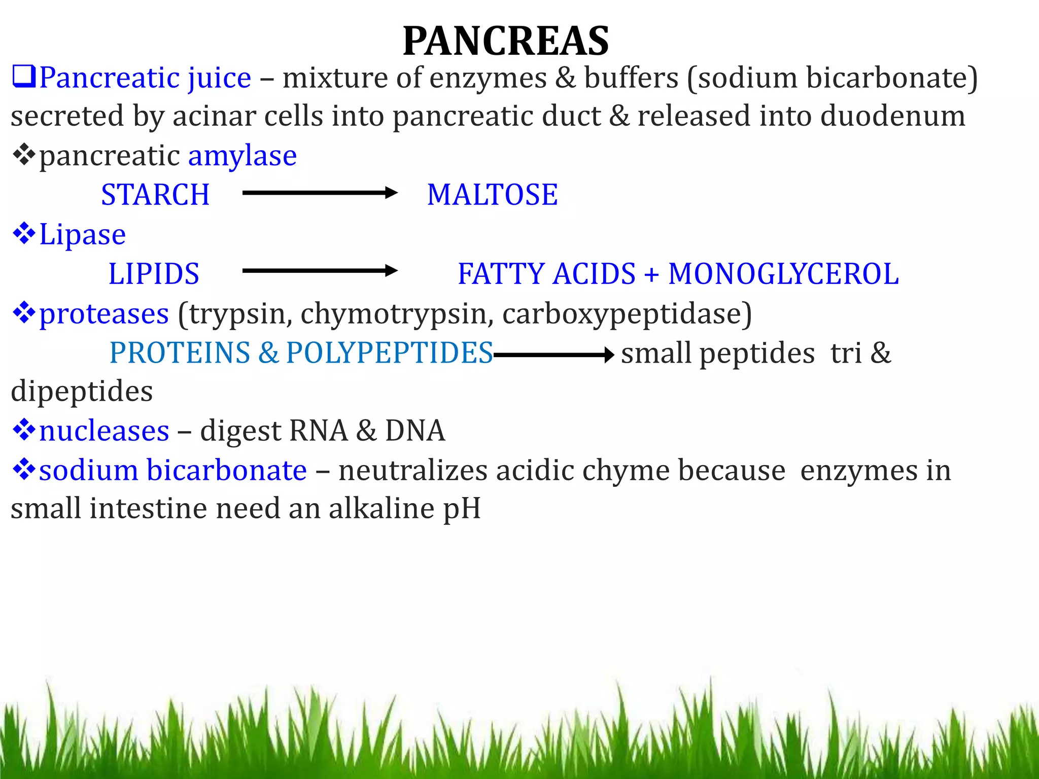 Anatomy and physiology of git | PPTX
