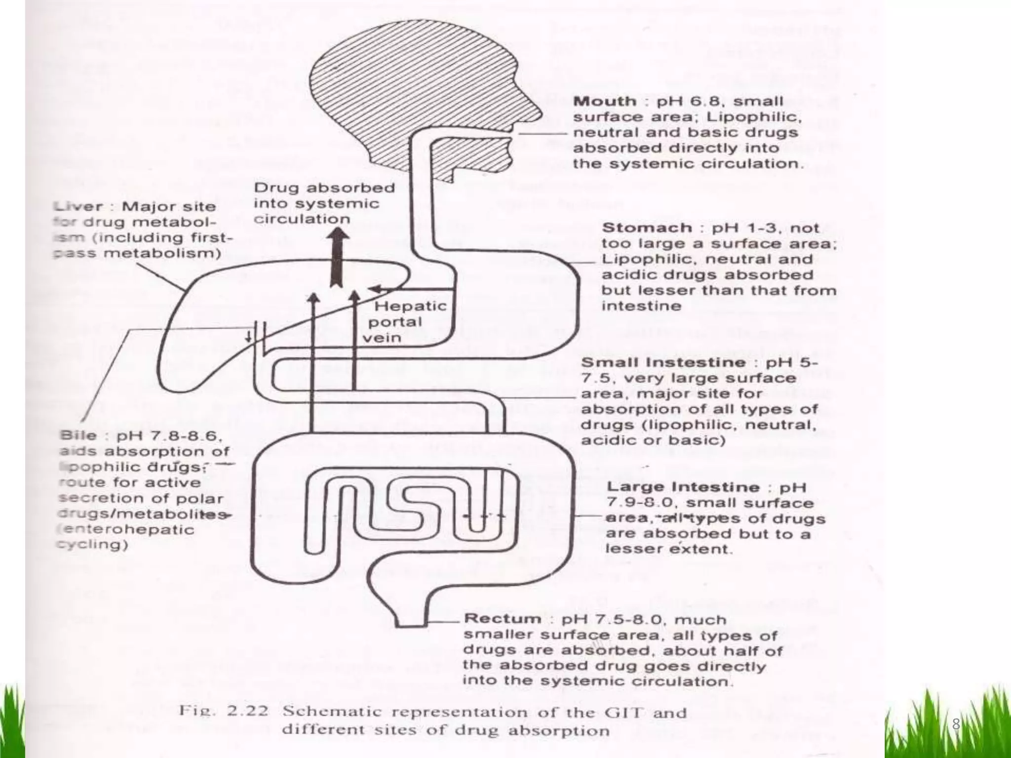 Anatomy and physiology of git | PPTX
