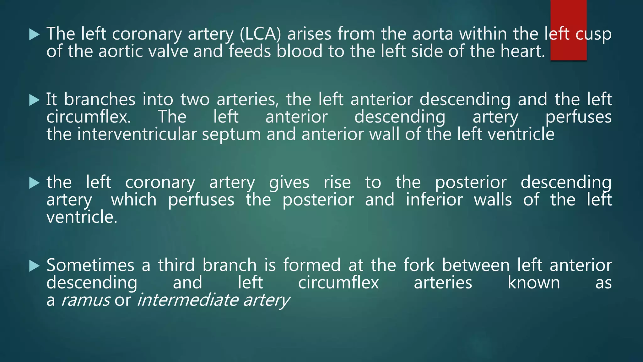 ANATOMY AND PHYSIOLOGY OF HEART | PPTX