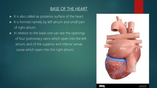 ANATOMY AND PHYSIOLOGY OF HEART | PPTX