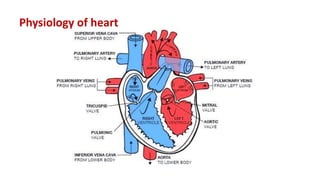 Anatomy and Physiology of Heart.pdf