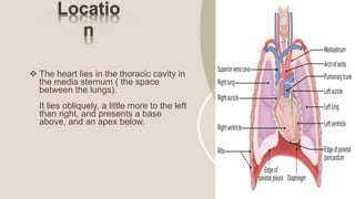 Anatomy and Physiology of Heart (Cardiovascular system).pptx