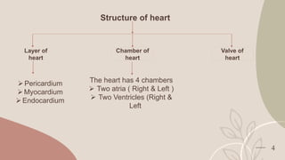 Anatomy and Physiology of Heart (Cardiovascular system).pptx