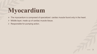 Anatomy and Physiology of Heart (Cardiovascular system).pptx