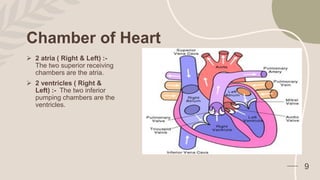 Anatomy and Physiology of Heart (Cardiovascular system).pptx