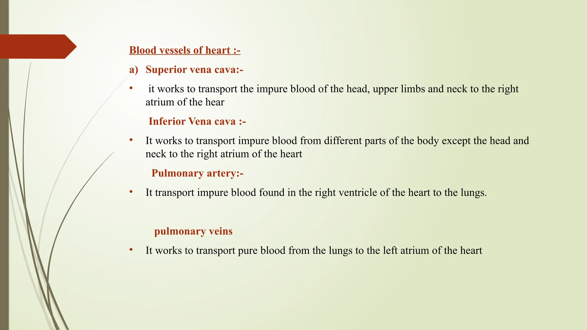 Anatomy and physiology of heart and its function | PPTX