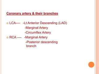 Anatomy and physiology of heart, lung , | PPTX