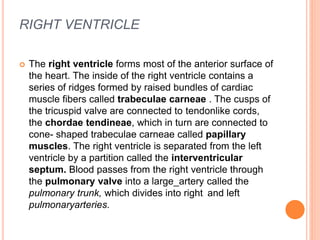 Anatomy and physiology of heart, lung , | PPTX