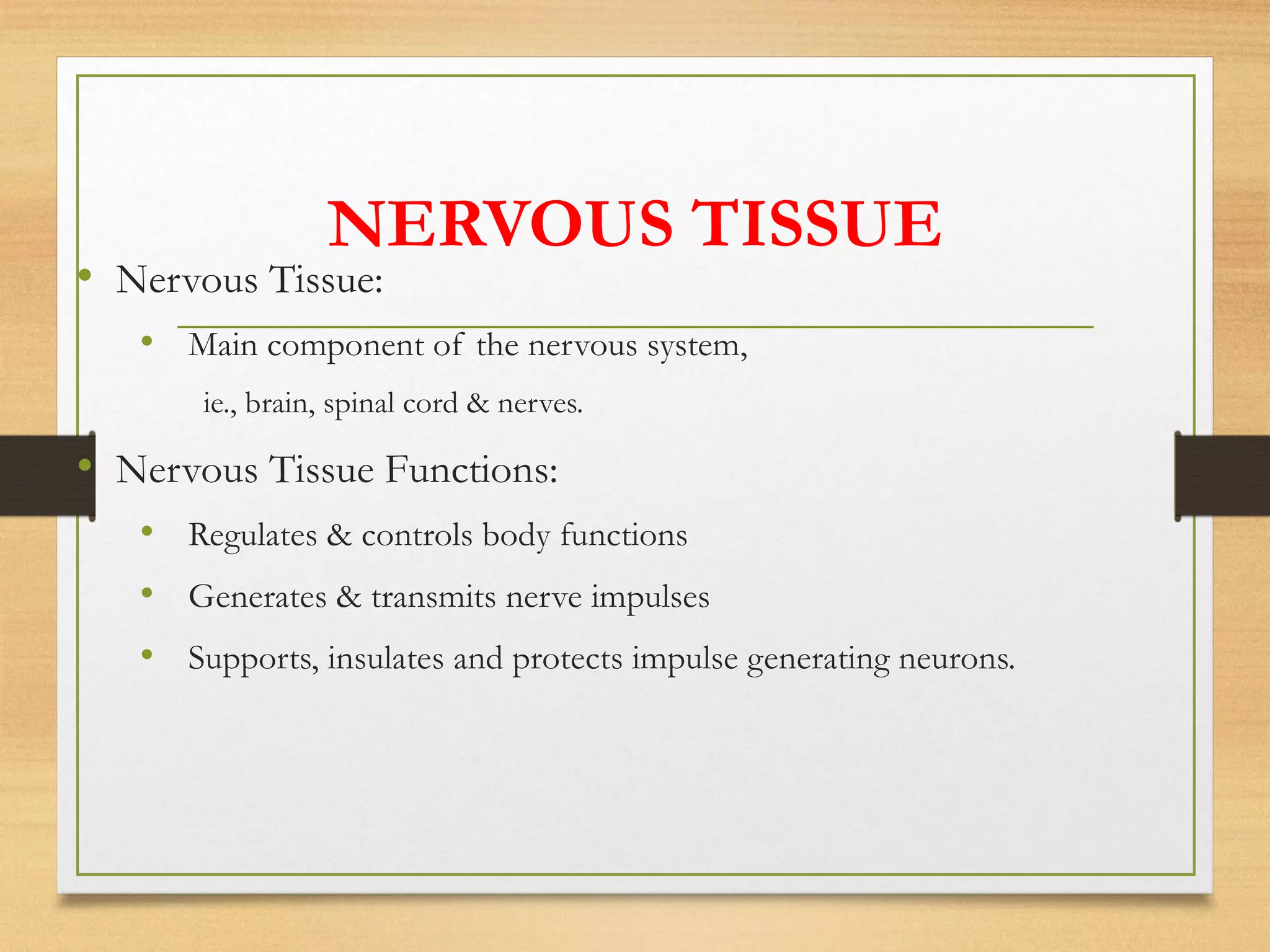 Anatomy and physiology of human tissues.pptx