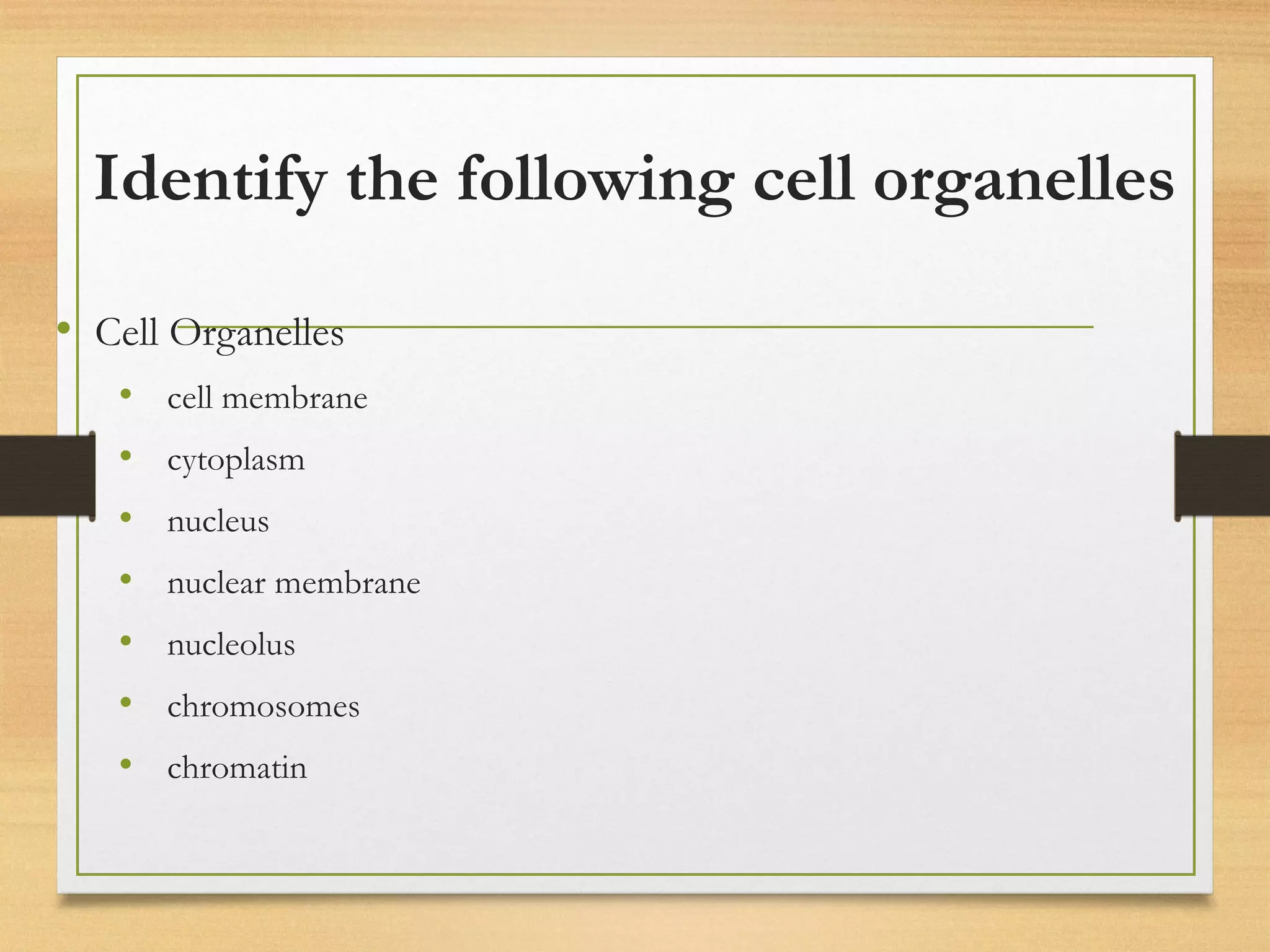 Anatomy and physiology of human tissues.pptx