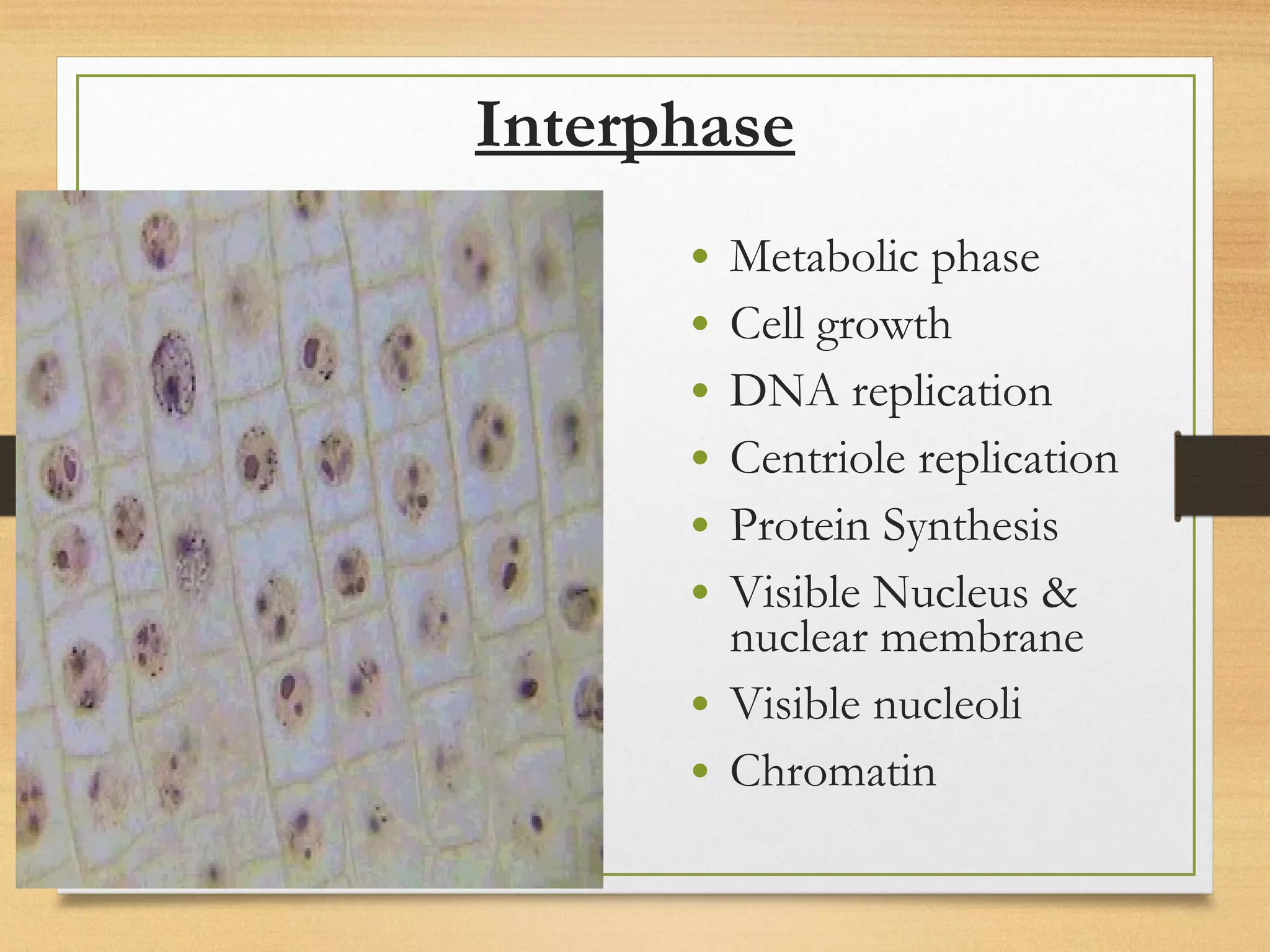 Anatomy and physiology of human tissues.pptx