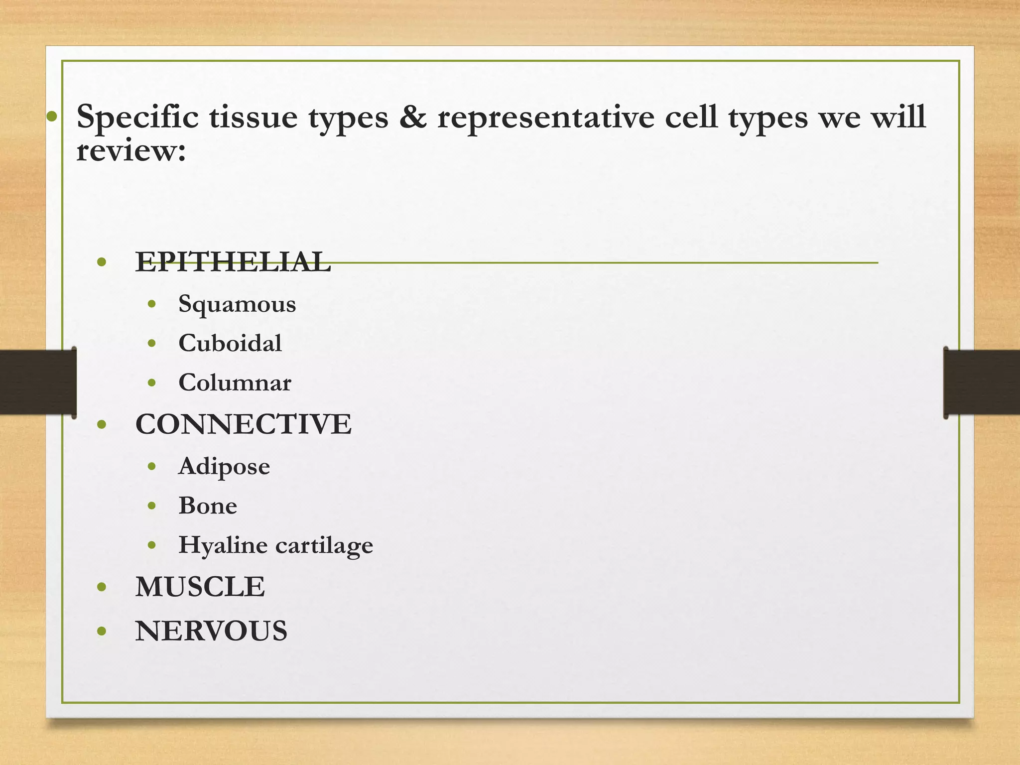 Anatomy and physiology of human tissues.pptx