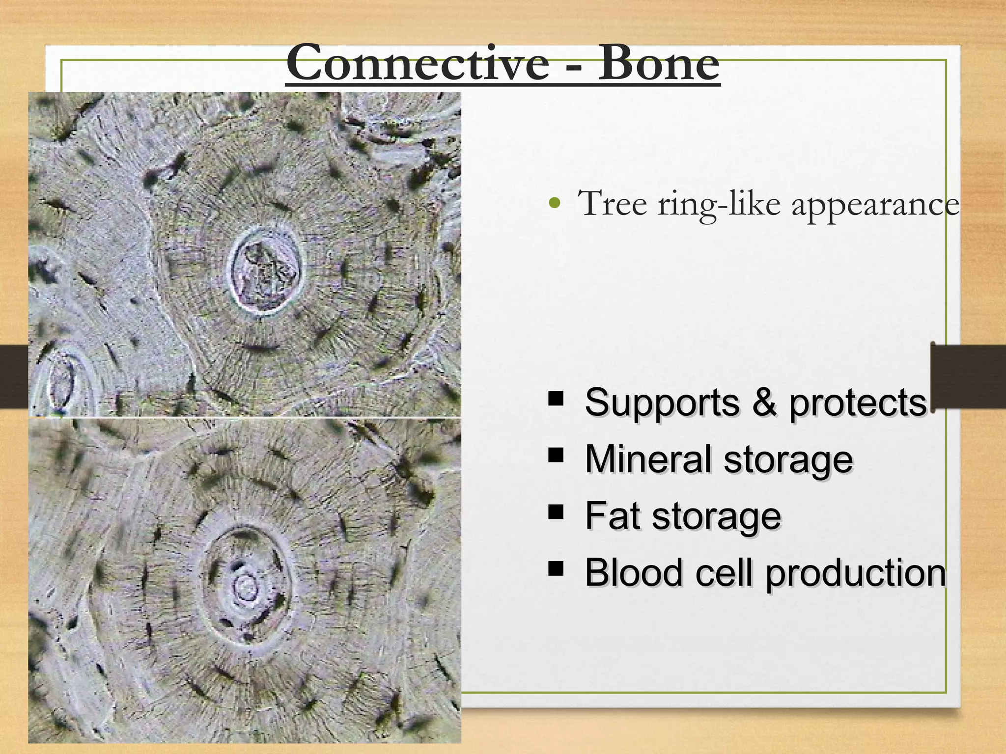 Anatomy and physiology of human tissues.pptx