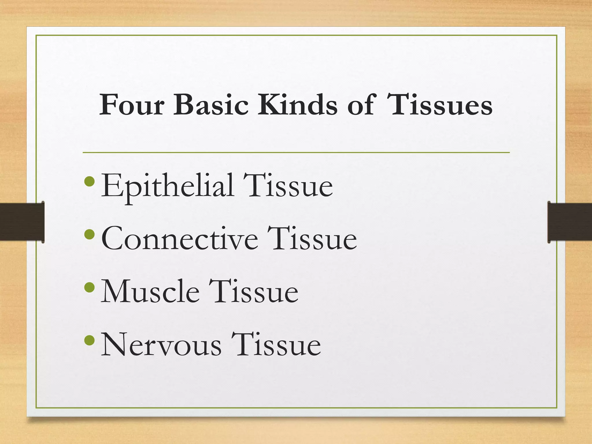 Anatomy and physiology of human tissues.pptx