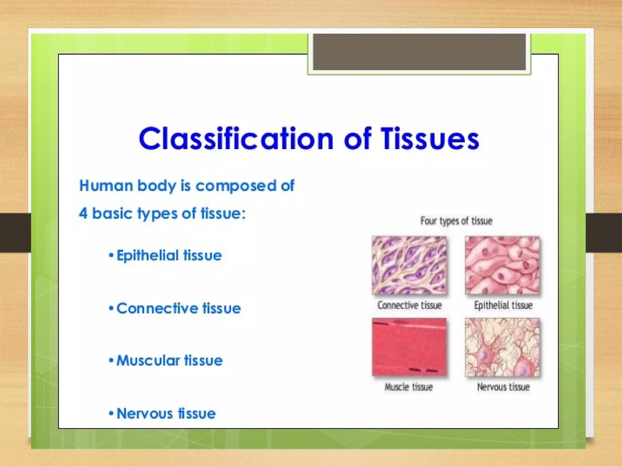 Anatomy and physiology of human tissues.pptx
