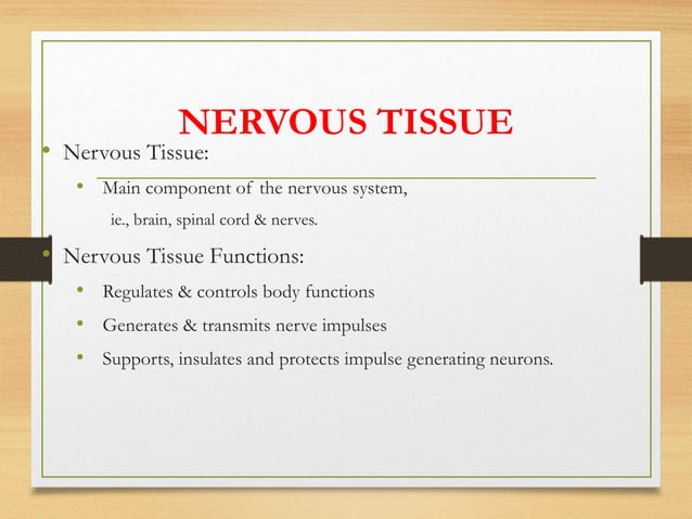 Anatomy and physiology of human tissues.pptx | Biological Sciences ...