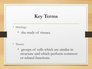 Anatomy and physiology of human tissues.pptx