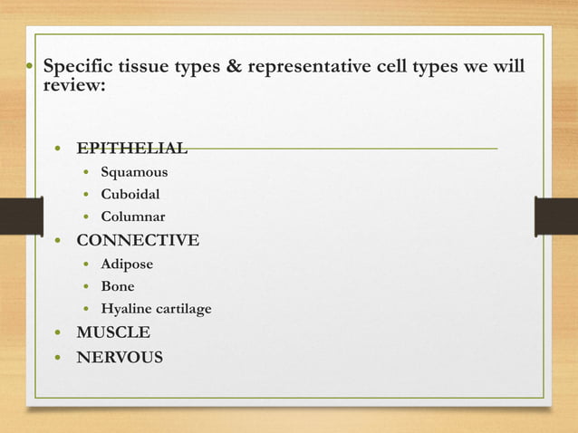 Anatomy and physiology of human tissues.pptx | Biological Sciences ...