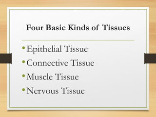Anatomy and physiology of human tissues.pptx