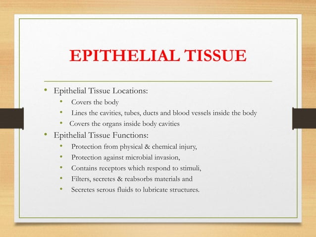 Anatomy and physiology of human tissues.pptx | Biological Sciences | Science