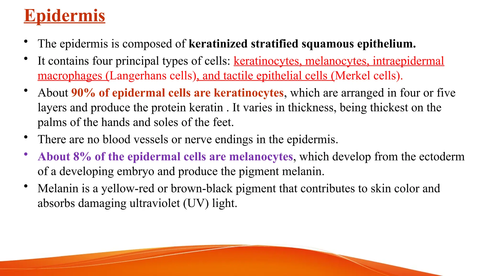 Anatomy and Physiology of Integumentary System and Skeletal System.pptx