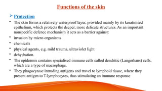 Anatomy and Physiology of Integumentary System and Skeletal System.pptx