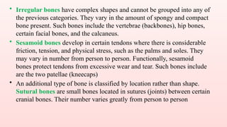 Anatomy and Physiology of Integumentary System and Skeletal System.pptx