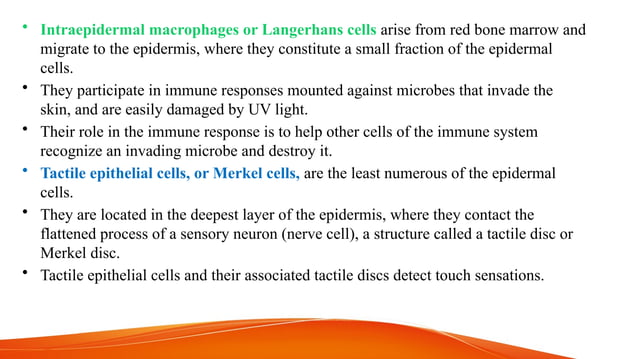 Anatomy and Physiology of Integumentary System and Skeletal System.pptx