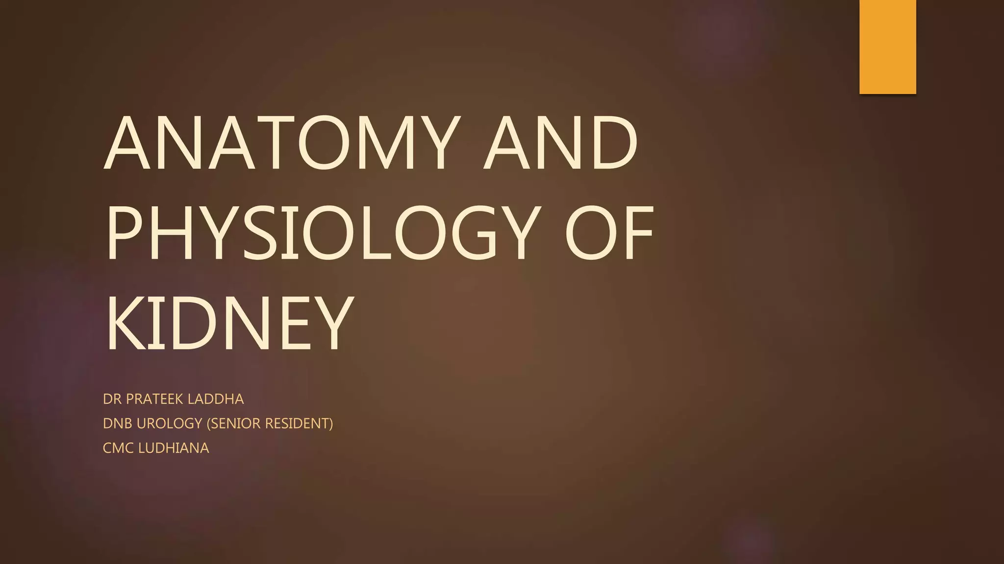 Anatomy and physiology of kidney | PPTX