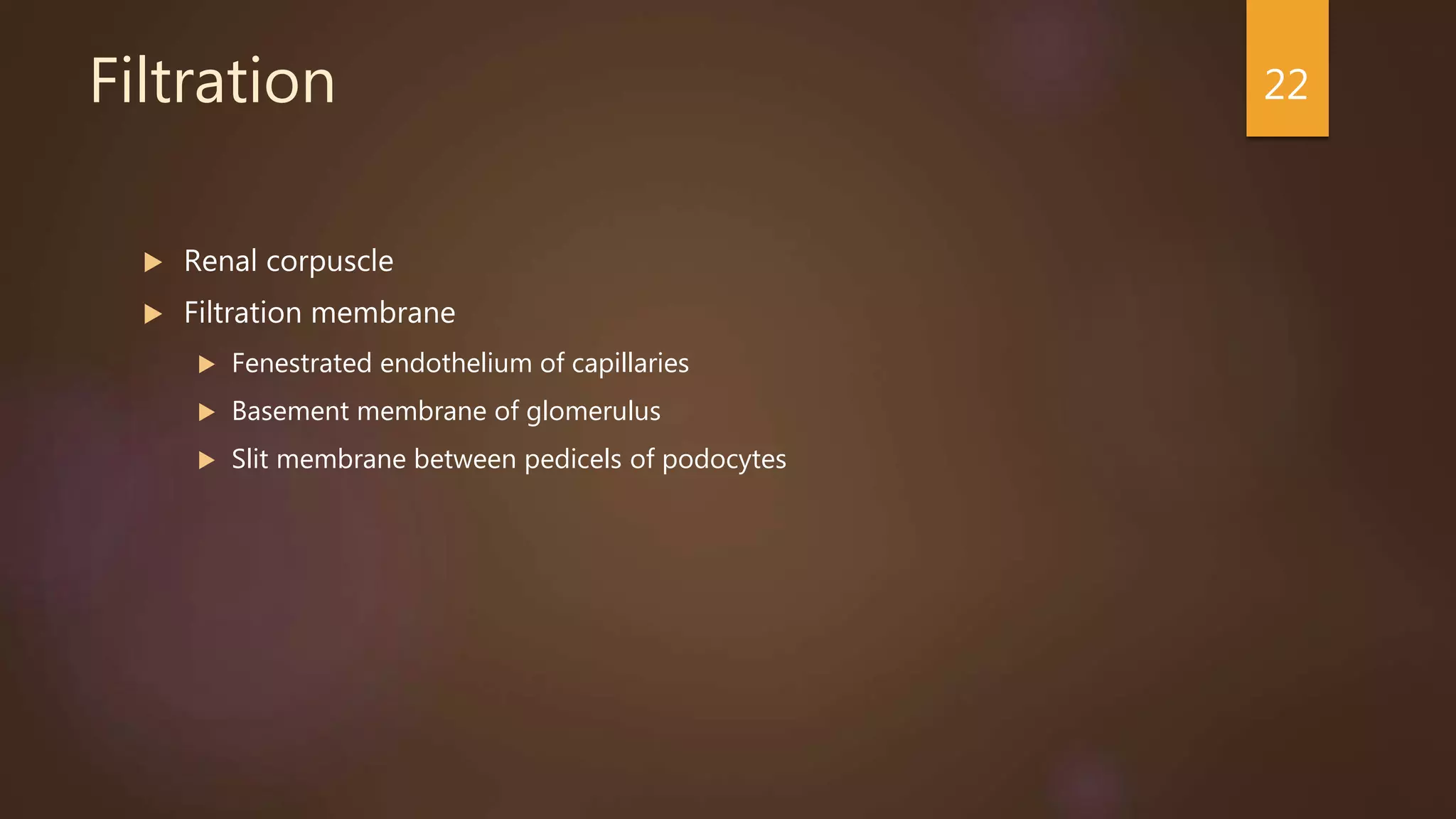 Anatomy and physiology of kidney | PPTX