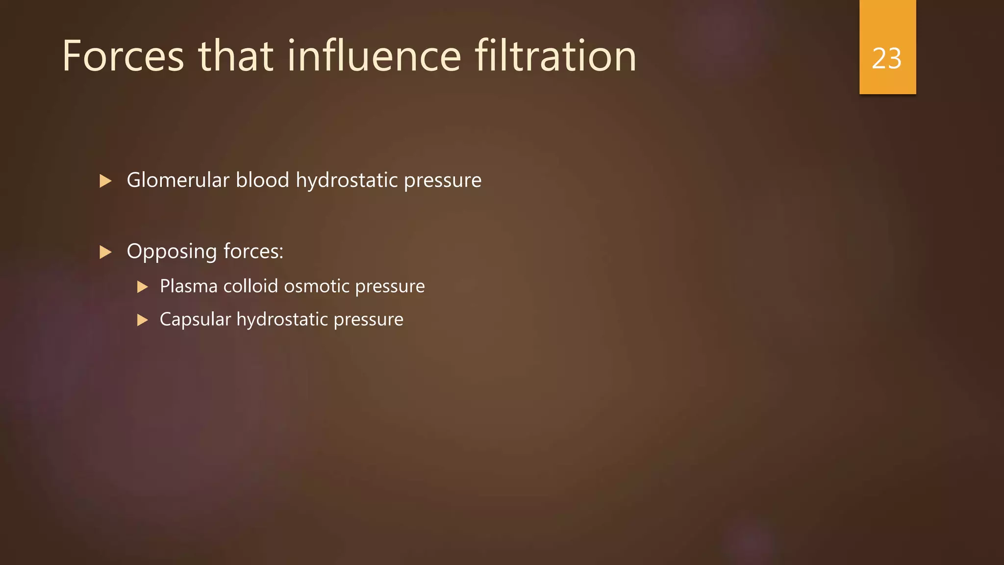 Anatomy and physiology of kidney | PPTX