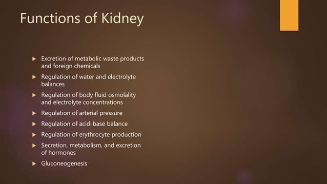 Anatomy and physiology of kidney | PPTX | Endocrine and Metabolic ...