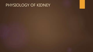 Anatomy and physiology of kidney | PPTX