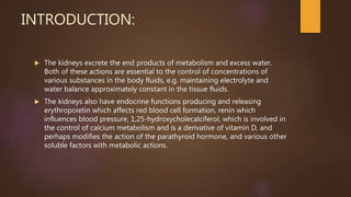 Anatomy and physiology of kidney | PPTX