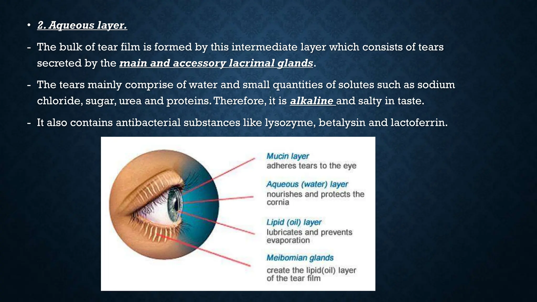 ANATOMY AND PHYSIOLOGY OF LACRIMAL APPARATUS.pdf