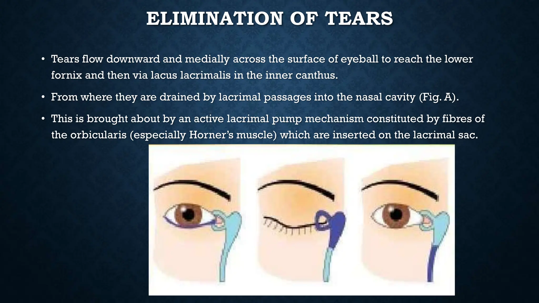 ANATOMY AND PHYSIOLOGY OF LACRIMAL APPARATUS.pdf