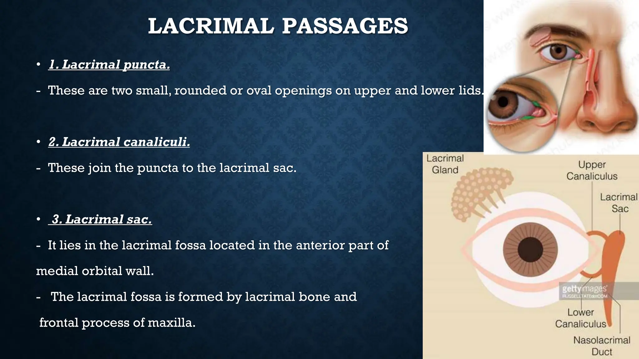 ANATOMY AND PHYSIOLOGY OF LACRIMAL APPARATUS.pdf