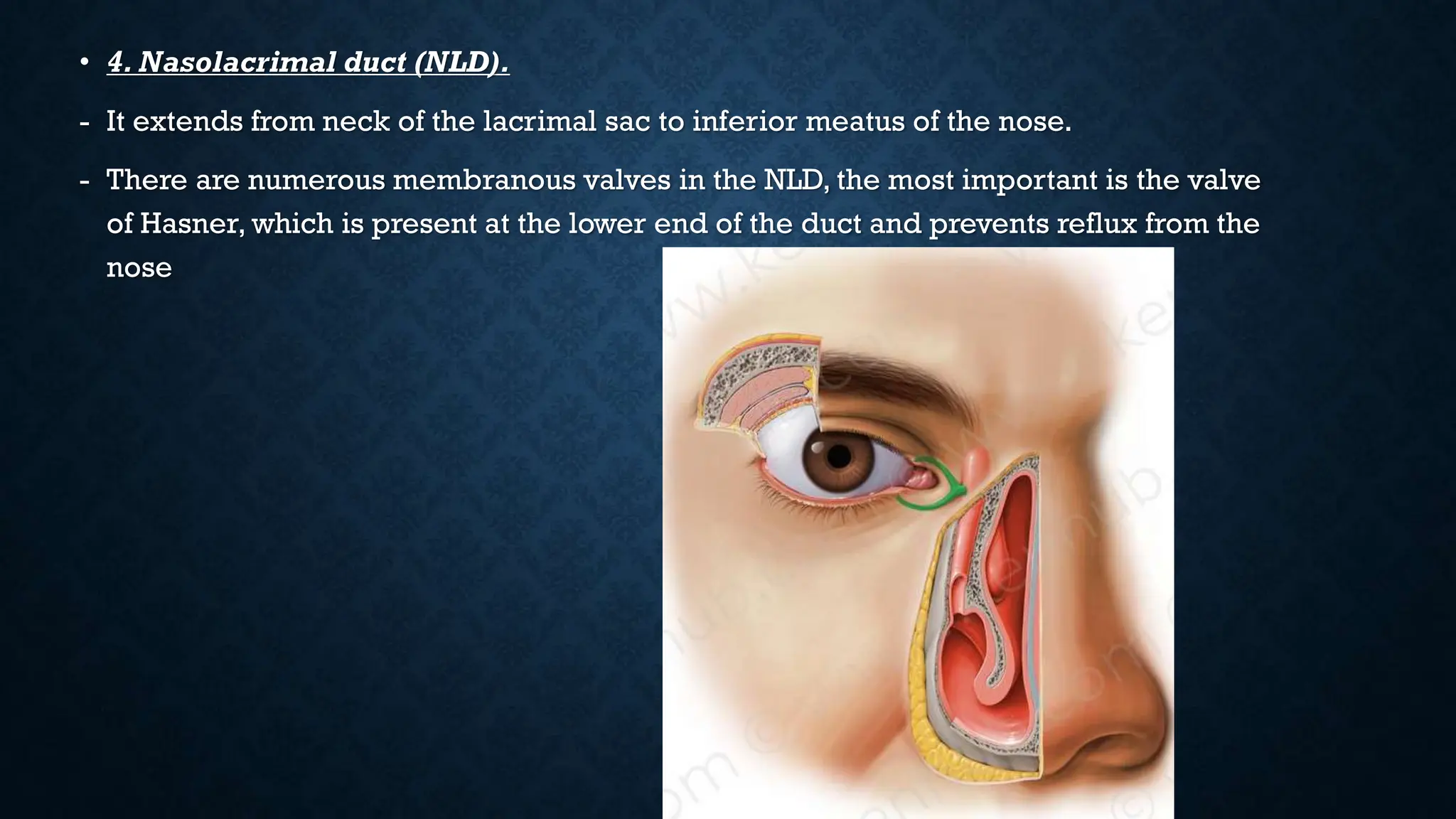 ANATOMY AND PHYSIOLOGY OF LACRIMAL APPARATUS.pdf