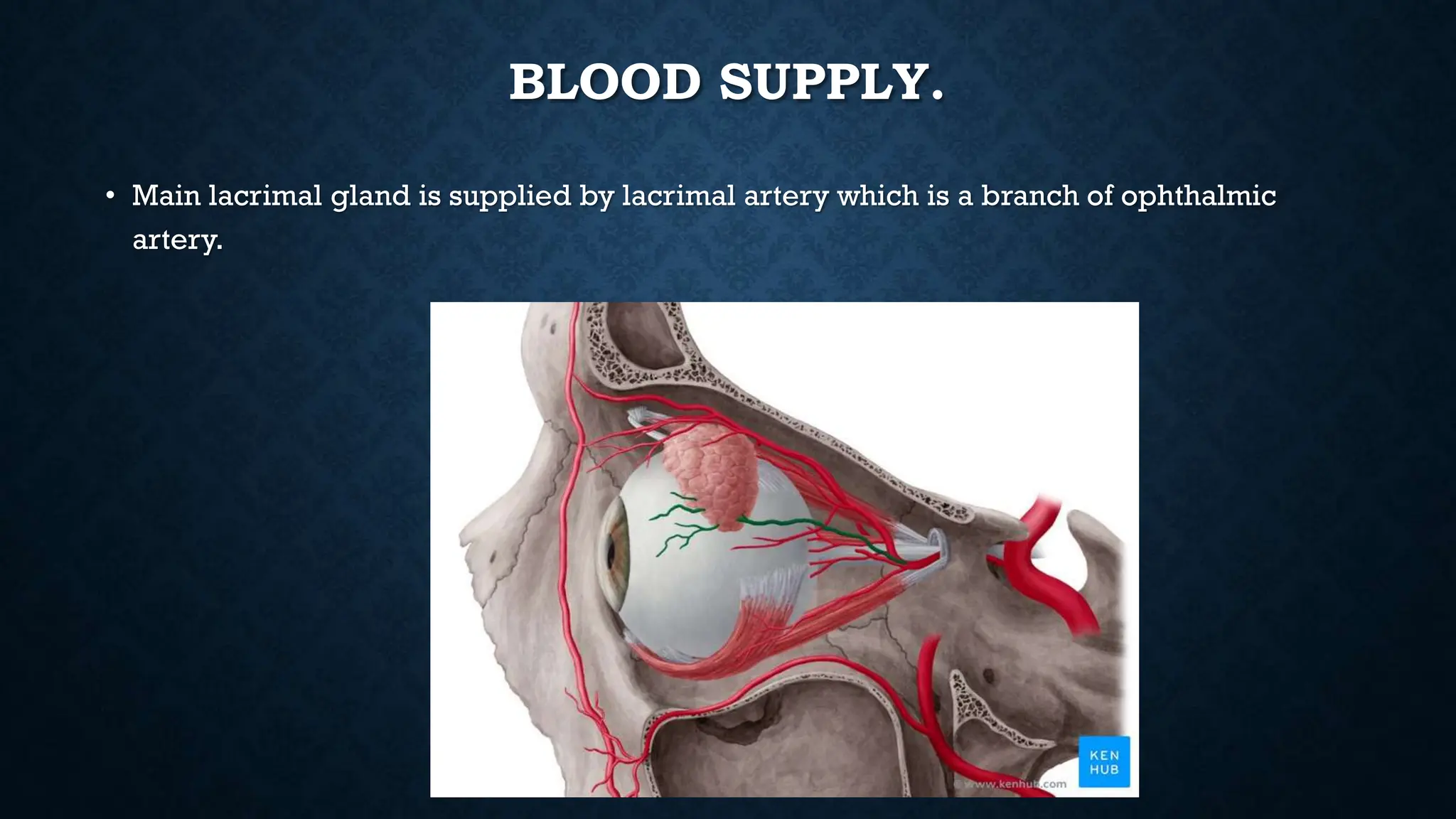 ANATOMY AND PHYSIOLOGY OF LACRIMAL APPARATUS.pdf