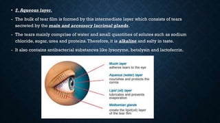 ANATOMY AND PHYSIOLOGY OF LACRIMAL APPARATUS.pdf