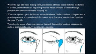 ANATOMY AND PHYSIOLOGY OF LACRIMAL APPARATUS.pdf