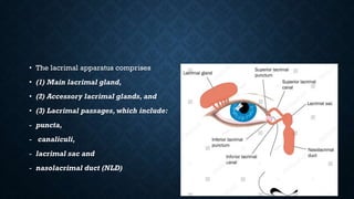 ANATOMY AND PHYSIOLOGY OF LACRIMAL APPARATUS.pdf