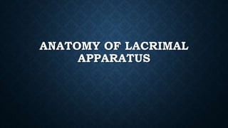 ANATOMY AND PHYSIOLOGY OF LACRIMAL APPARATUS.pdf