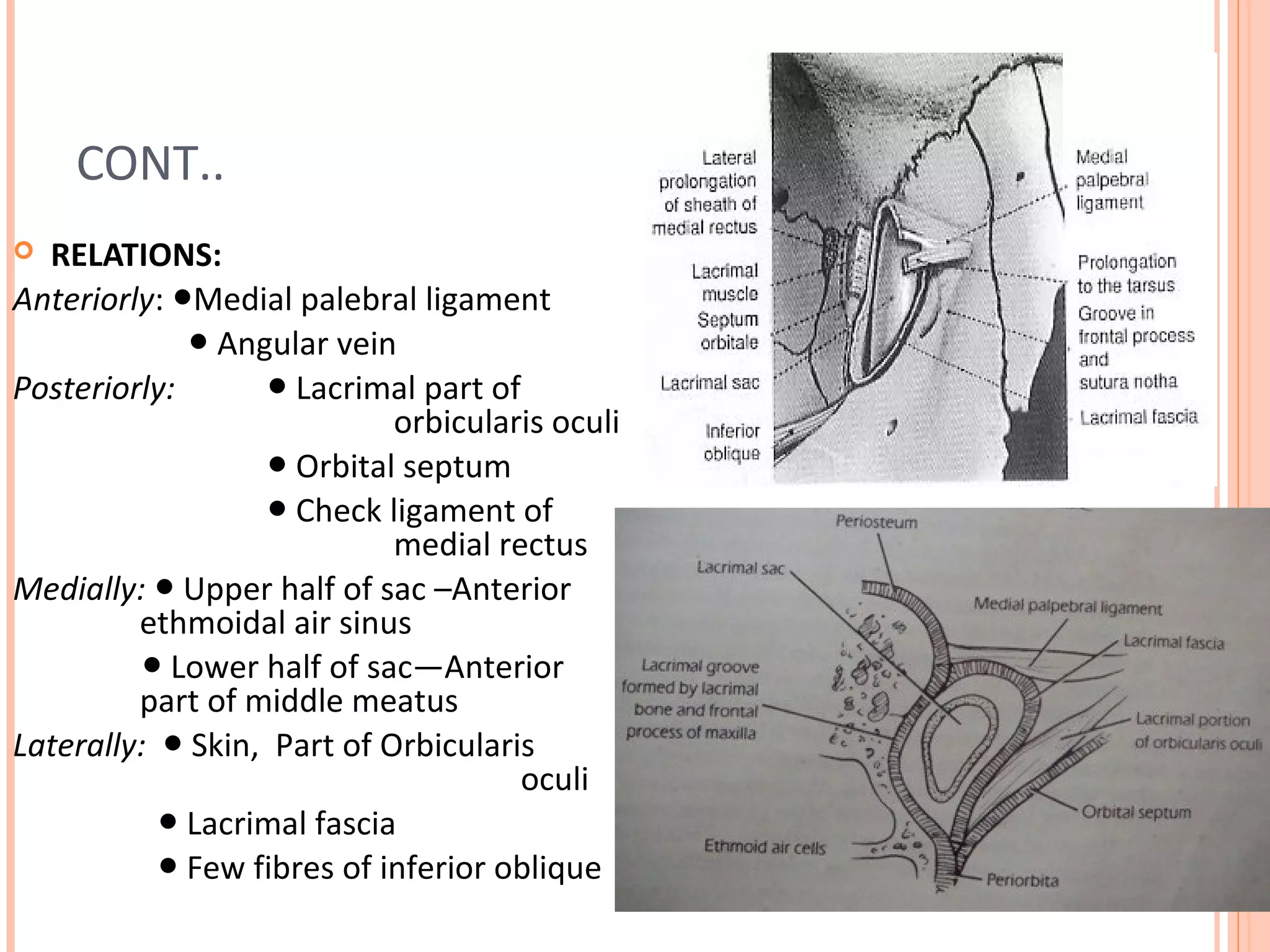 Anatomy and physiology of lacrimal system | PPT