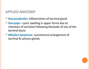 Anatomy and physiology of lacrimal system | PPT