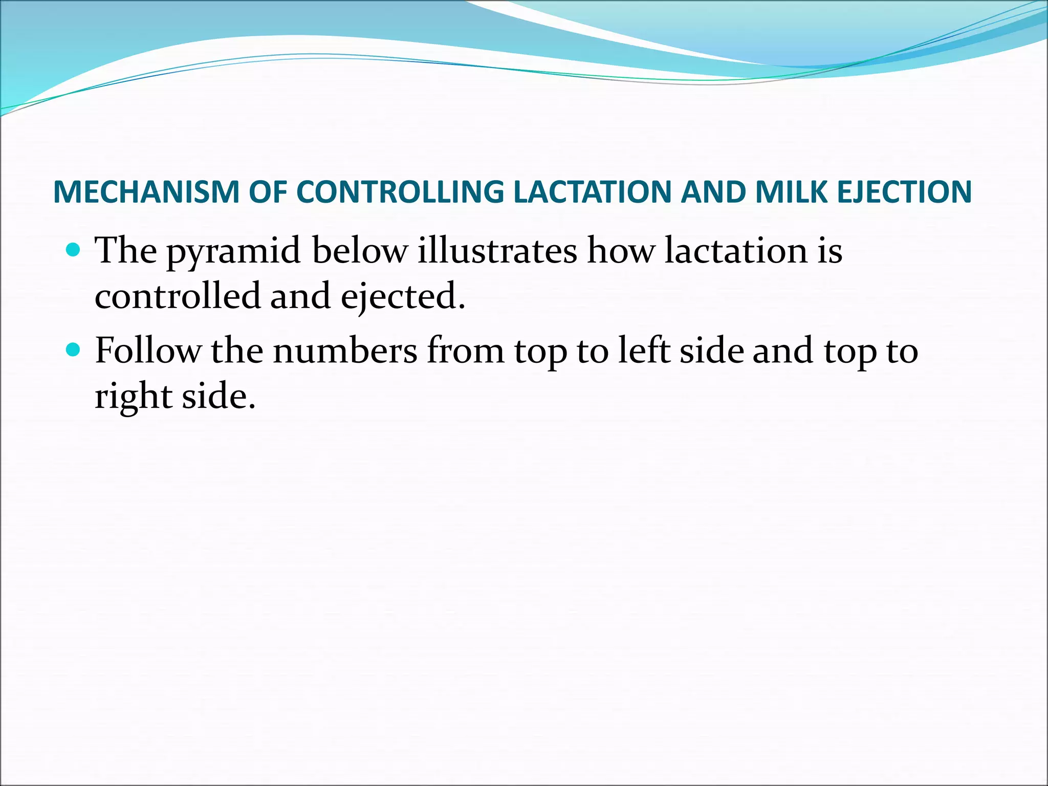 ANATOMY AND PHYSIOLOGY OF LACTATION.ppt | Pregnancy | Reproductive Health